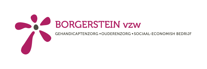 Geschiedenis - Borgerstein vzw